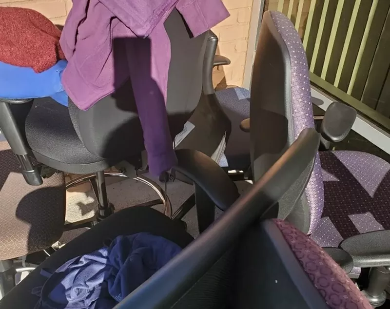 Bedbugs Infesting Second Arizona DES Office, Employees Say | Phoenix ...