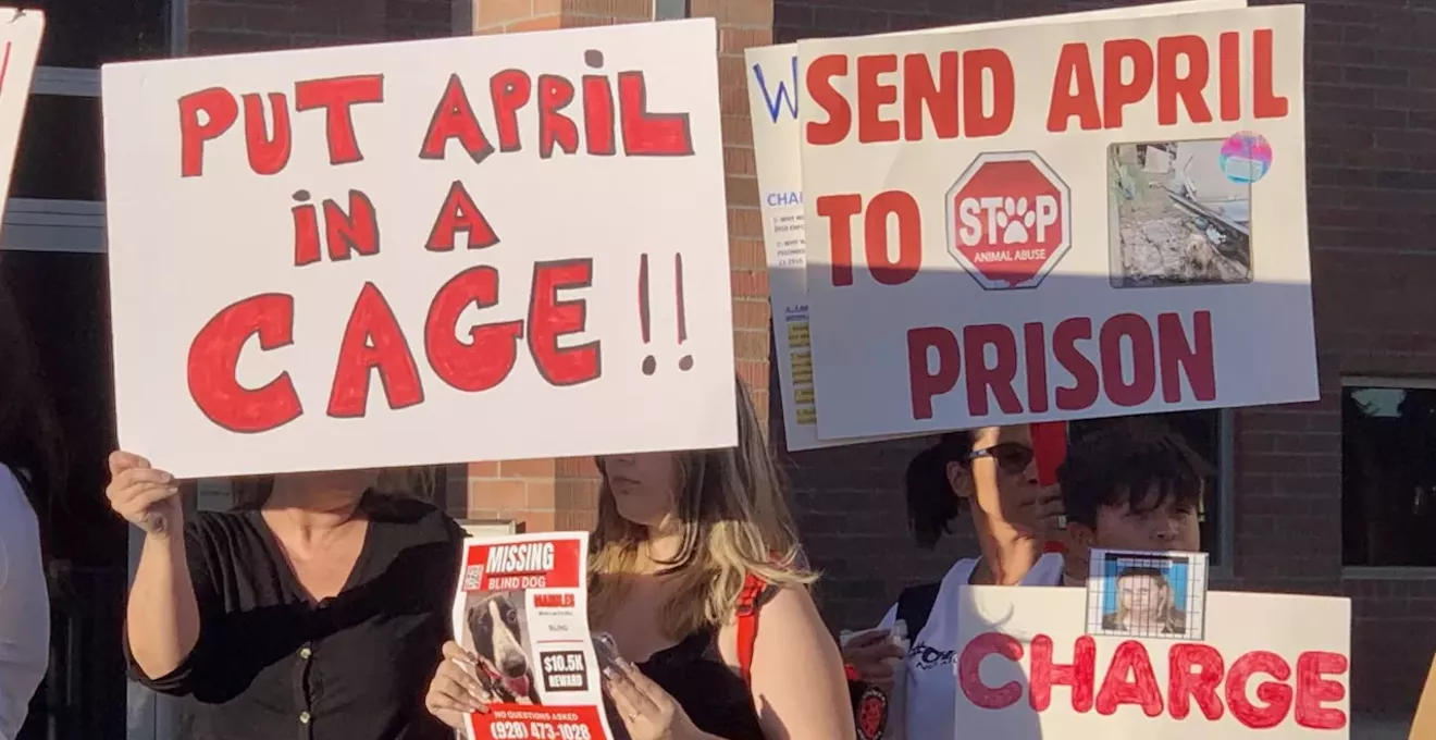 Judge refuses to return dogs to Chandler woman in animal abuse case ...