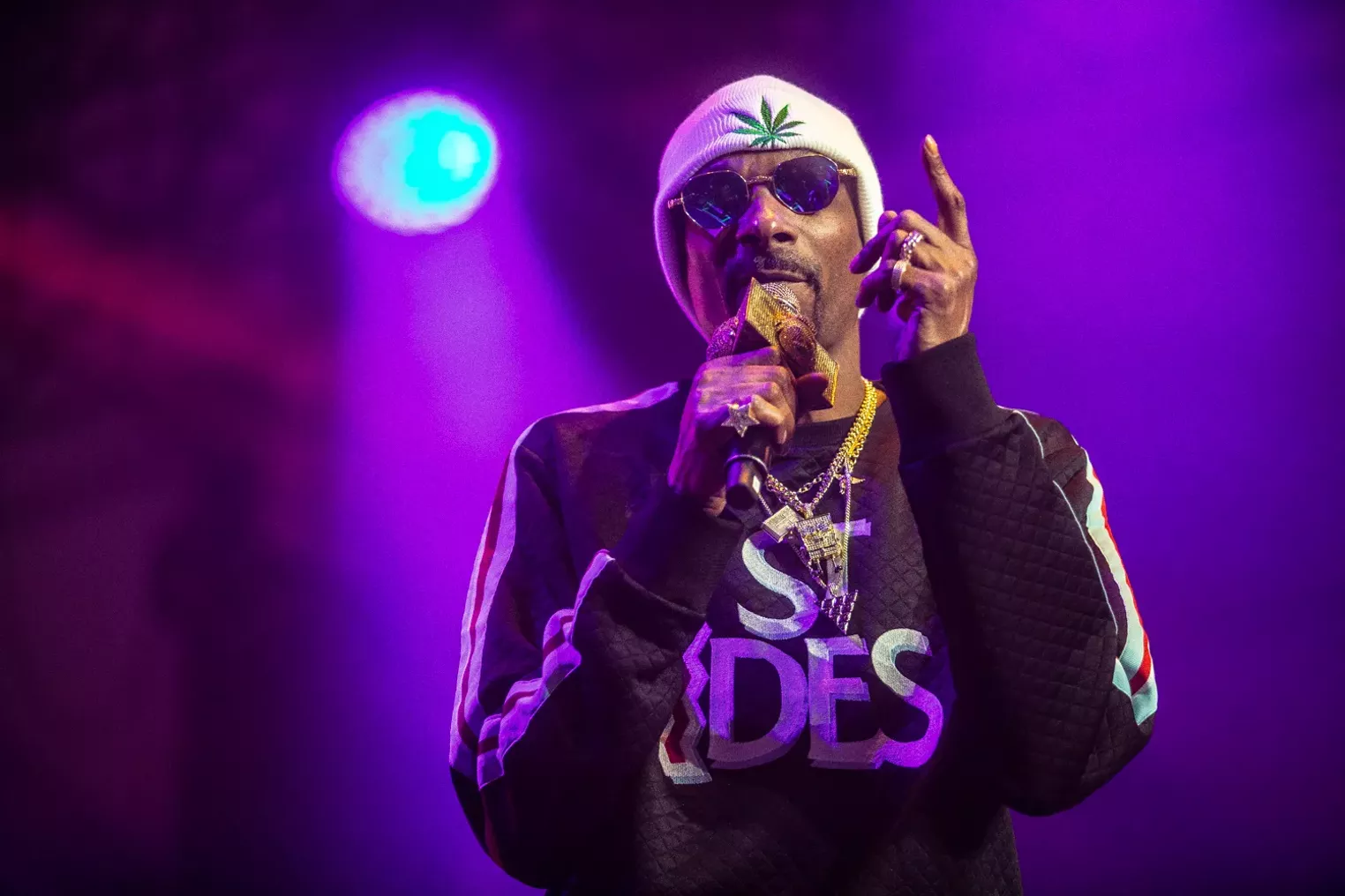 Snoop Dogg and The Chainsmokers Partied Hard at The Birds Nest ...