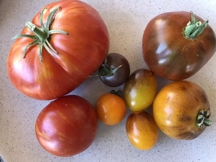Best Thing I Ate: Tomatoes From Arizona's Brother Nature | Phoenix New ...