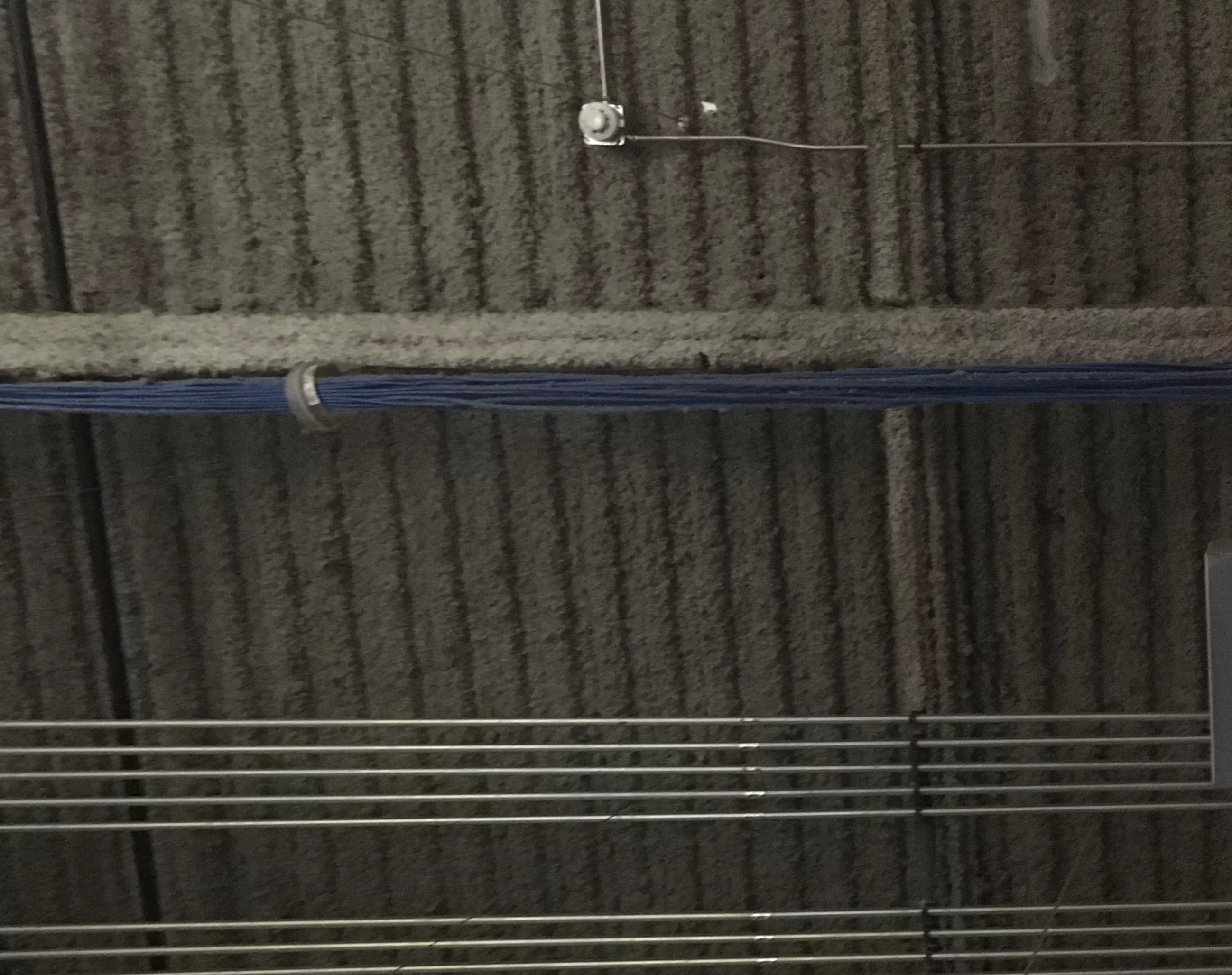 For Grace, 75, Searching for a Home Becomes a Quest for Identity ...