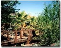 Shangri La Ranch | New River | Adult | General