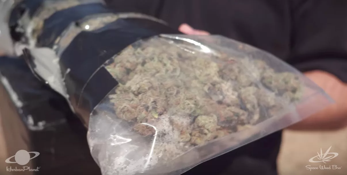 Scottsdale Companies Launch Pound of Weed into Space | Phoenix New Times