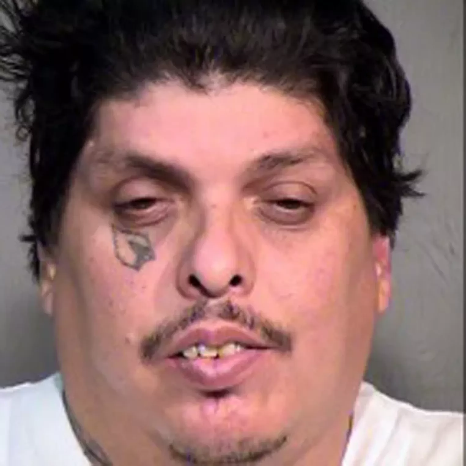 The 20 Dumbest (Alleged) Phoenix Criminals of 2012 | Phoenix | Phoenix ...