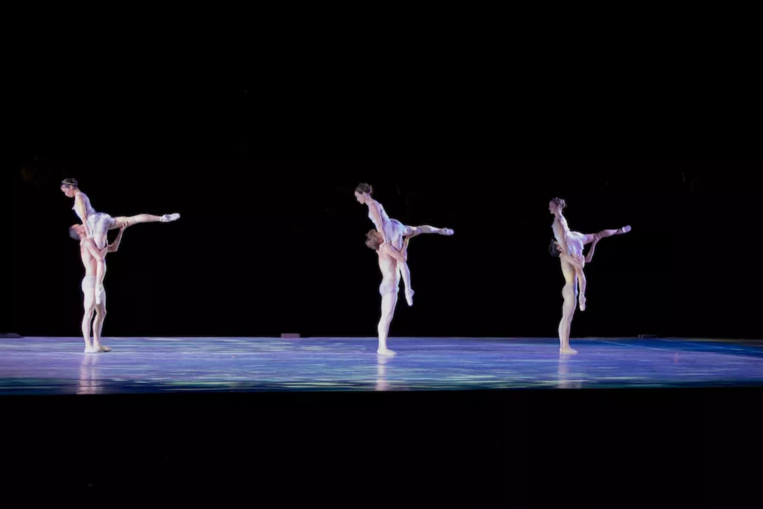 Ballet Arizona's Topia at Desert Botanical Garden | Phoenix | Phoenix ...