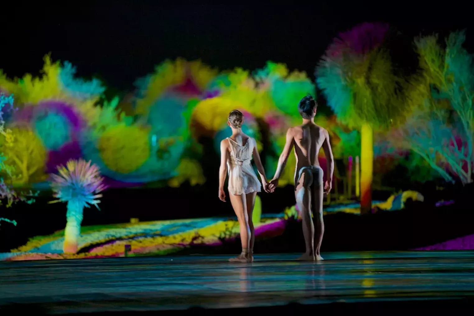 Ballet Arizona's Topia at Desert Botanical Garden | Phoenix | Phoenix ...