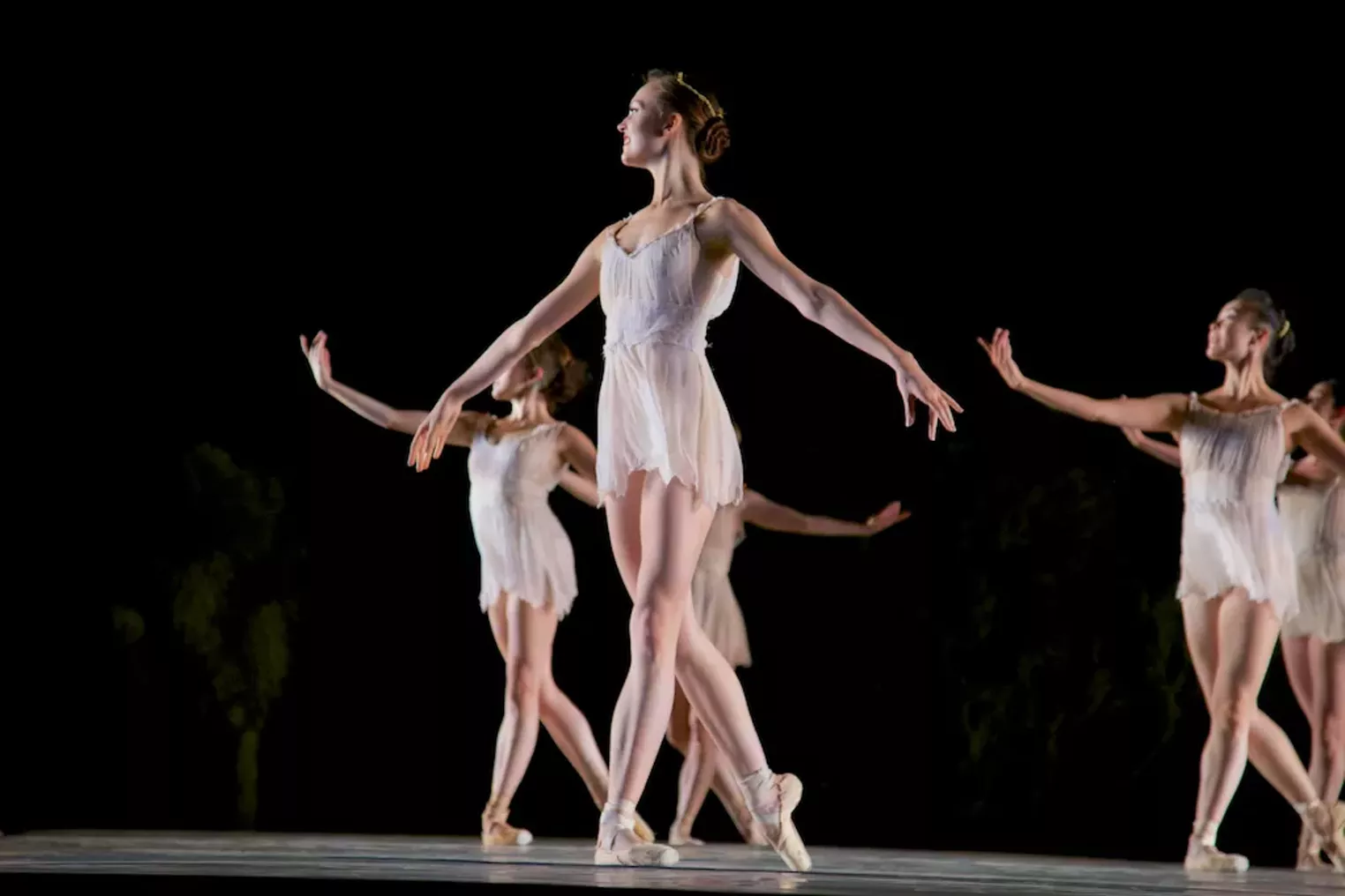 Ballet Arizona's Topia at Desert Botanical Garden | Phoenix | Phoenix ...
