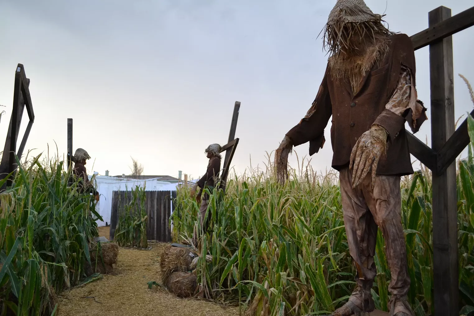 Fear Farm in Phoenix: A Look Behind The Scenes | Phoenix | Phoenix New ...