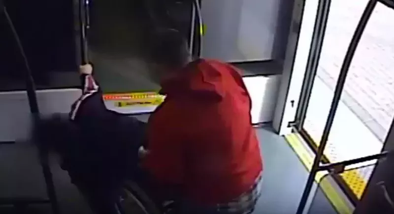 Video: Light Rail Riders Aid Woman in Wheelchair After Attack | Phoenix ...